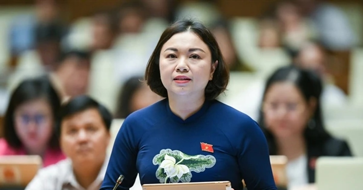 ĐBQH Đặng Bích Ngọc (Hoà Bình): Xây dựng bảng giá đất cần bảo đảm công khai, minh bạch, tránh ...