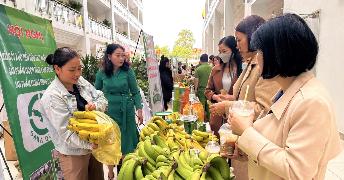 Lâm Đồng: Phát triển thành công hơn 200 sản phẩm OCOP