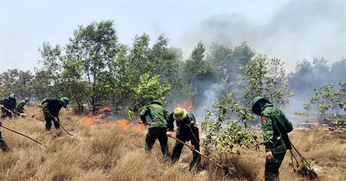 PM asks for effective preventive solutions against forest fires
