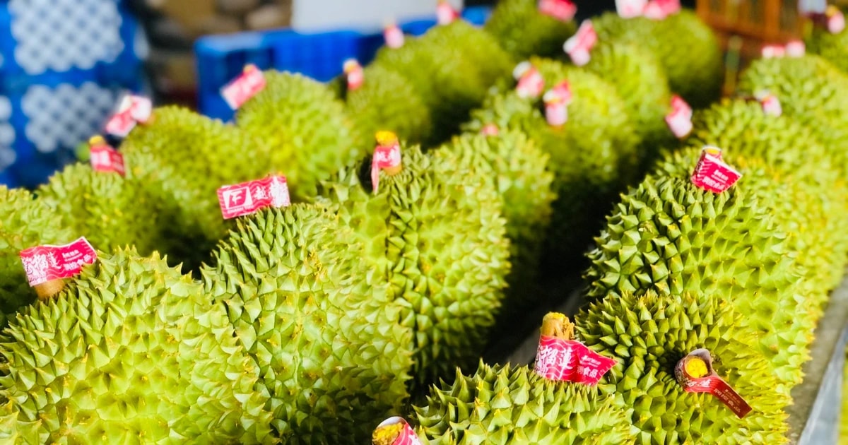 Không để chất lượng trở thành rào cản xuất khẩu rau quả