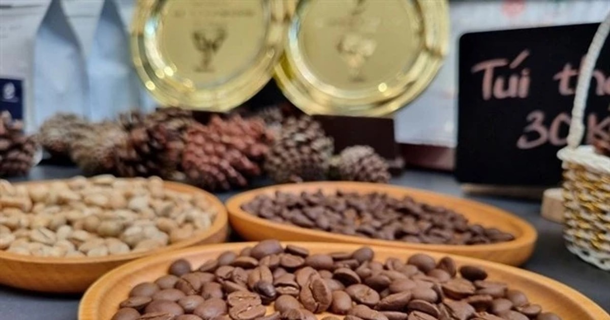 New freeze-dried instant coffee factory to be built in Bình Định