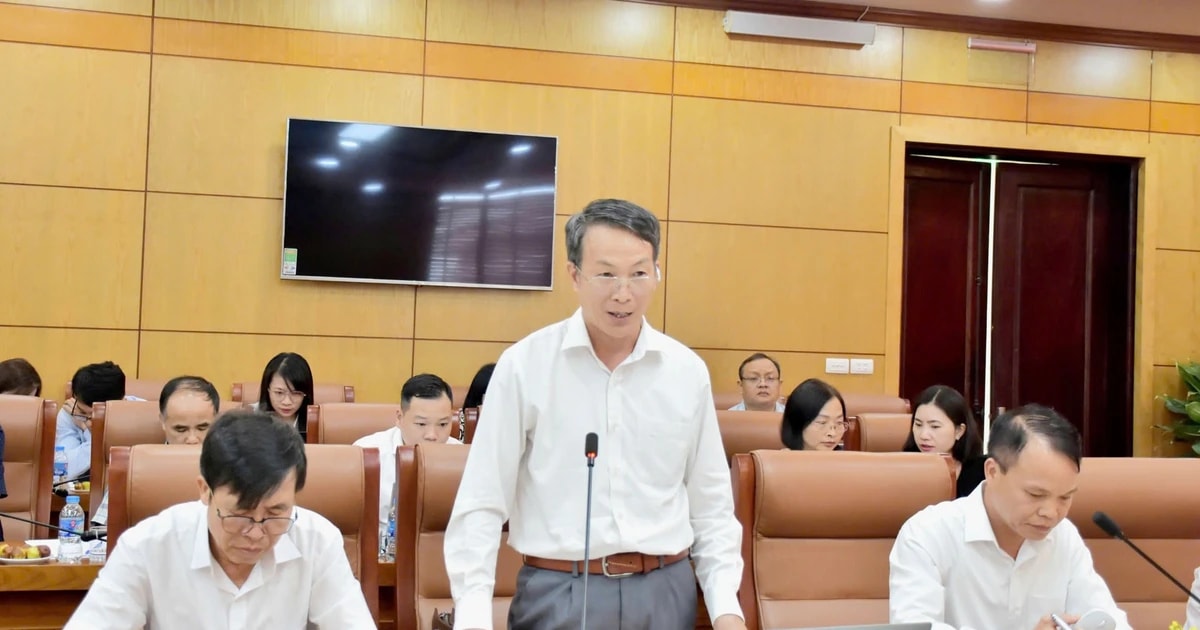 Cần chỉ ra vi phạm về thẩm quyền, trình tự thủ tục