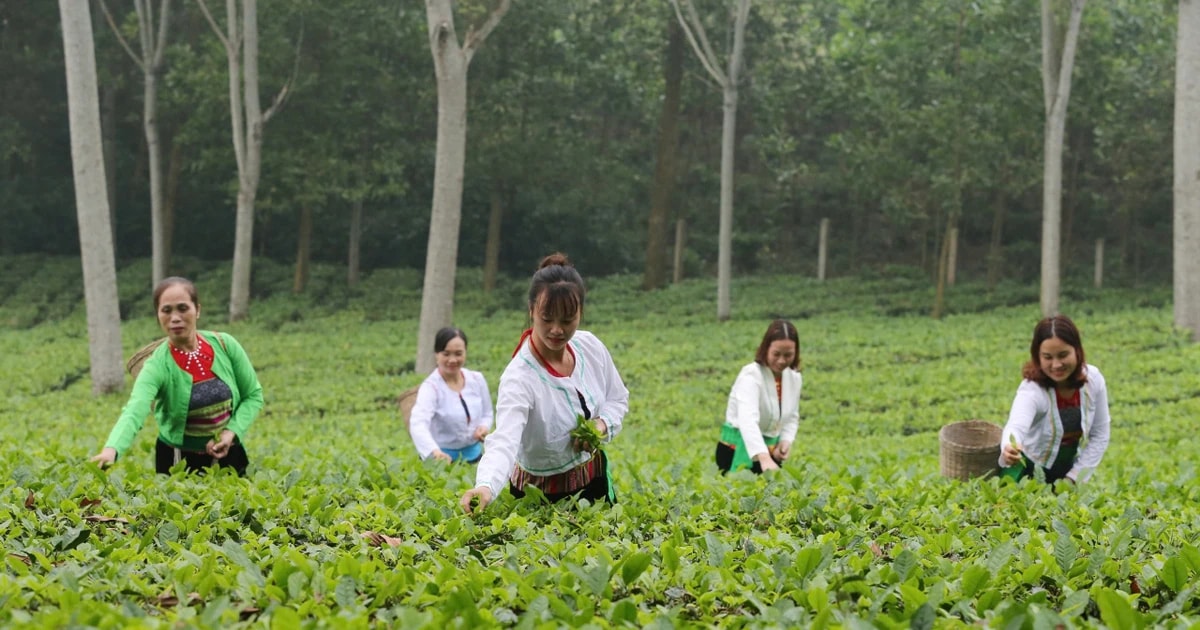 NHCSXH TP. Hà Nội phát triển đột phá