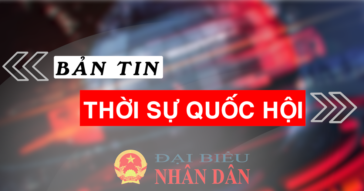 Bản tin Thời sự Quốc hội ngày 25/5/2025