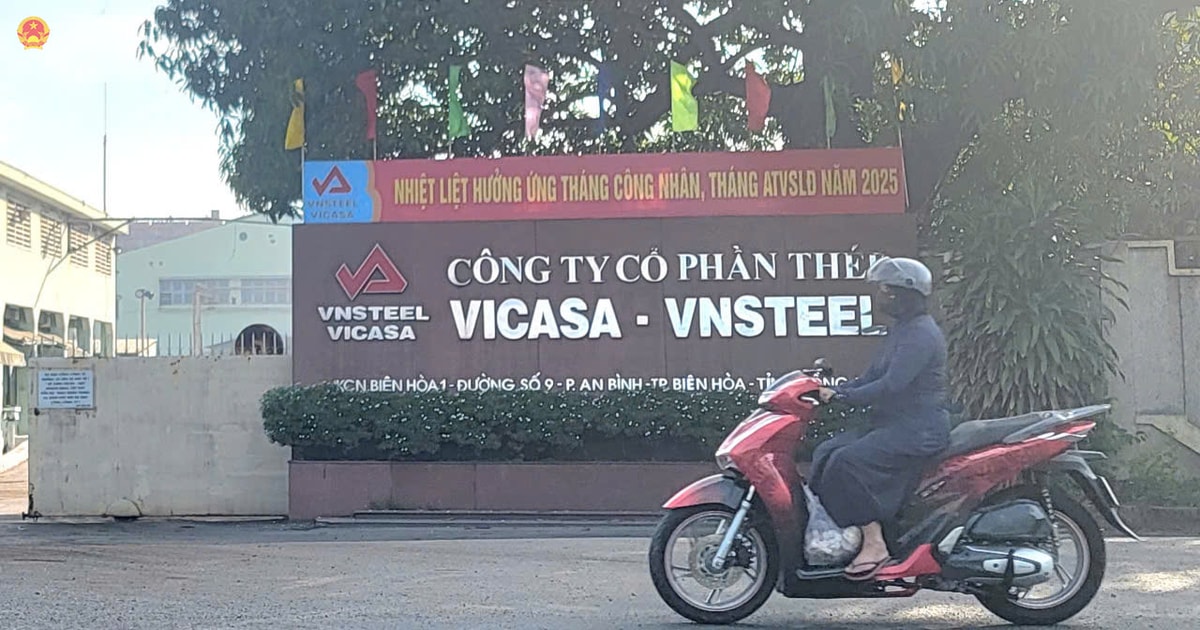 Đồng Nai: Xử phạt Công ty Cổ phần Thép Vicasa – VNSteel, buộc di dời cơ sở