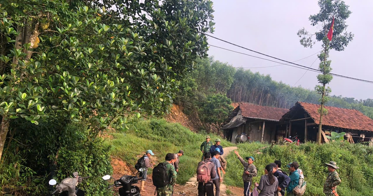 Tìm kiếm người đàn ông mất tích khi đi tìm ong trong rừng ở Quảng Bình