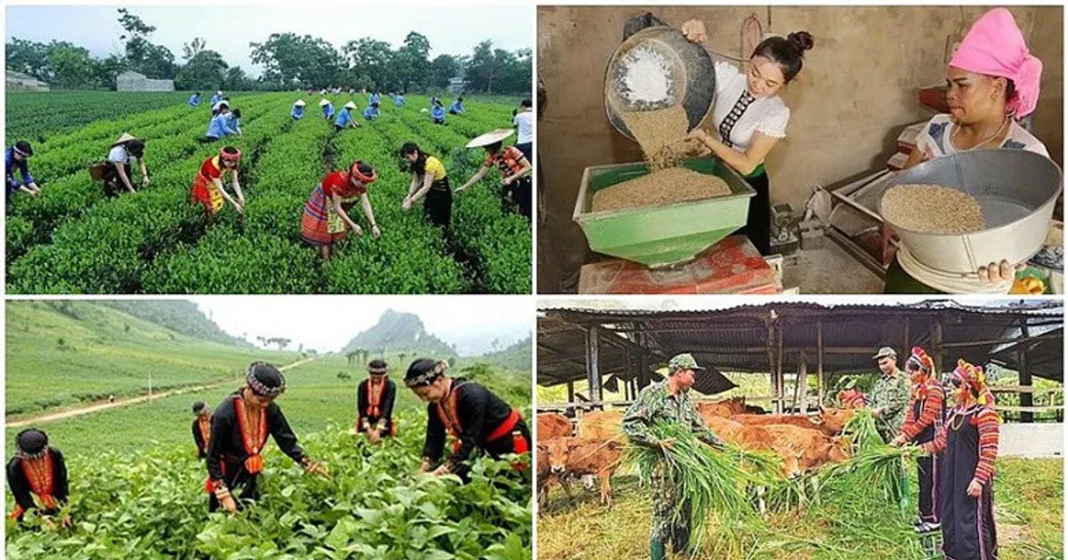 Đẩy nhanh tiến độ thực hiện Chương trình MTQG phát triển kinh tế - xã ...