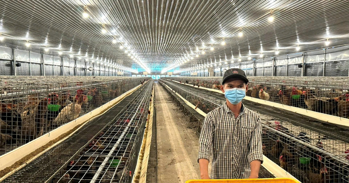 Đồng Nai đẩy mạnh nông nghiệp công nghệ cao, nâng cao giá trị nông sản ...