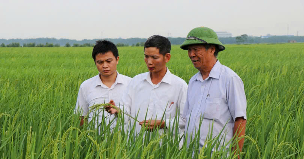 Xây dựng chuỗi liên kết khép kín, phát triển nông nghiệp sinh thái